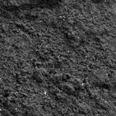 Silty Loam: What It Is, Why It’s Valuable, and Where to Get It – Ottr ...
